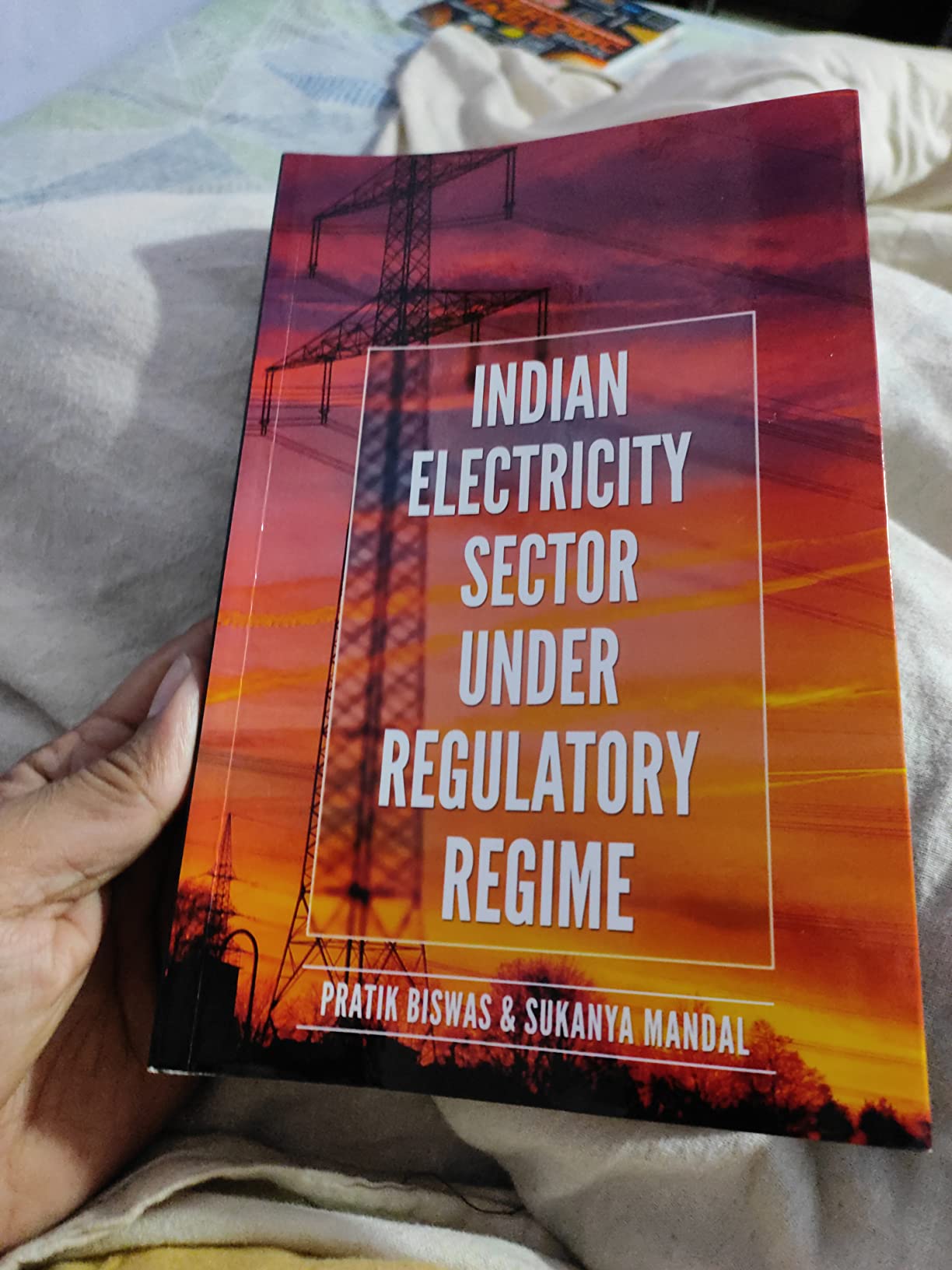 Buy Indian Electricity Sector under Regulatory Regime Book Online at ...