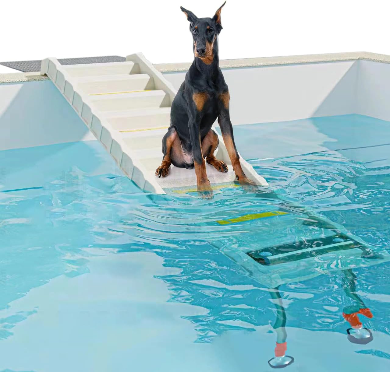 Amazon.com : Foldable Dog Pool Ramp with 33" Legs for Free Height ...