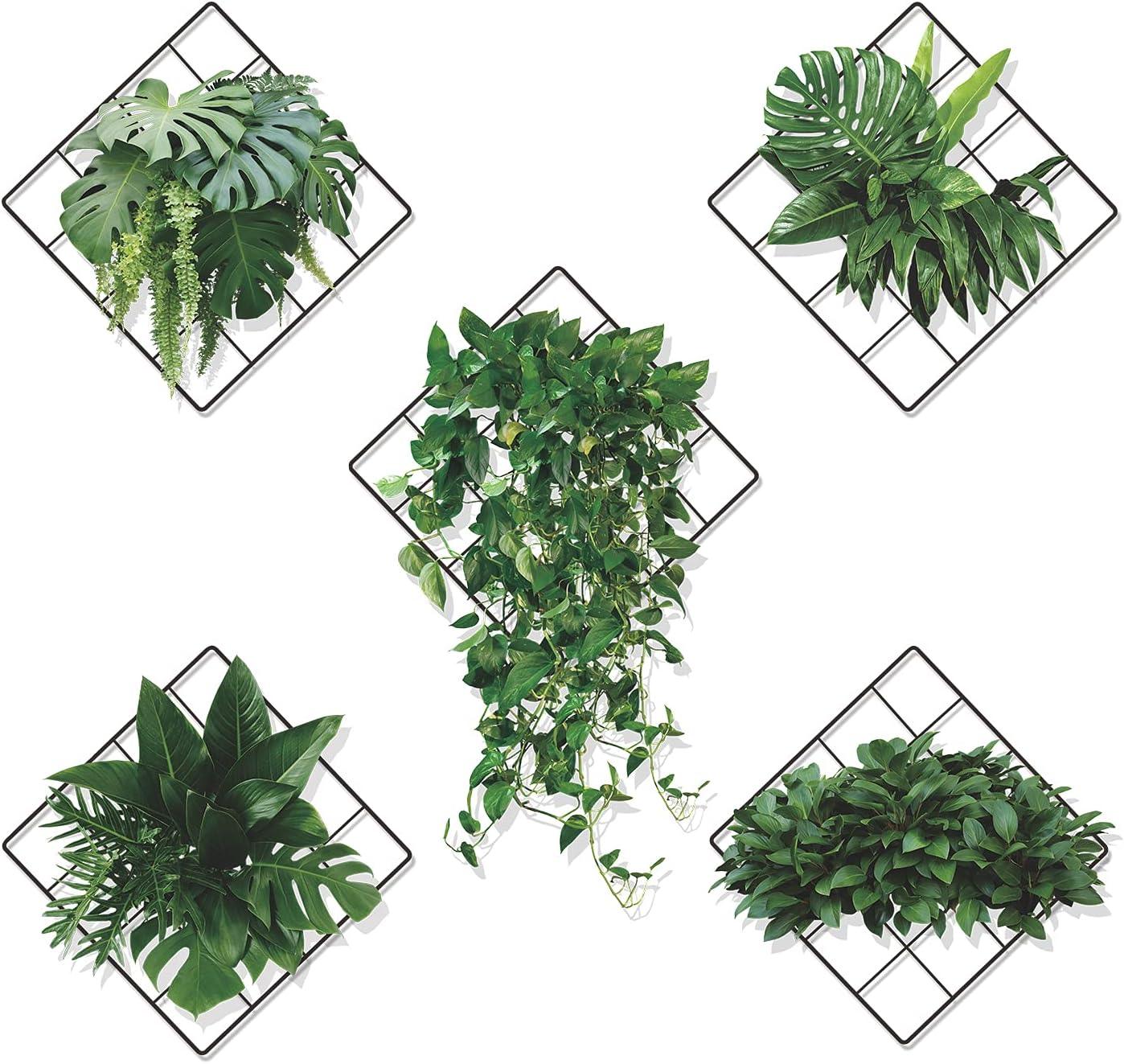 KAZITOO Magischer 3D-Effekt, lebendige grüne Pflanzen, Monstera-Blatt ...