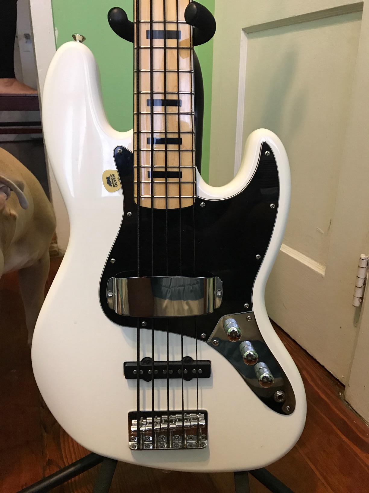 Amazon.com: Fender Chrome Jazz Bass Pickup Cover for 5-String Models ...