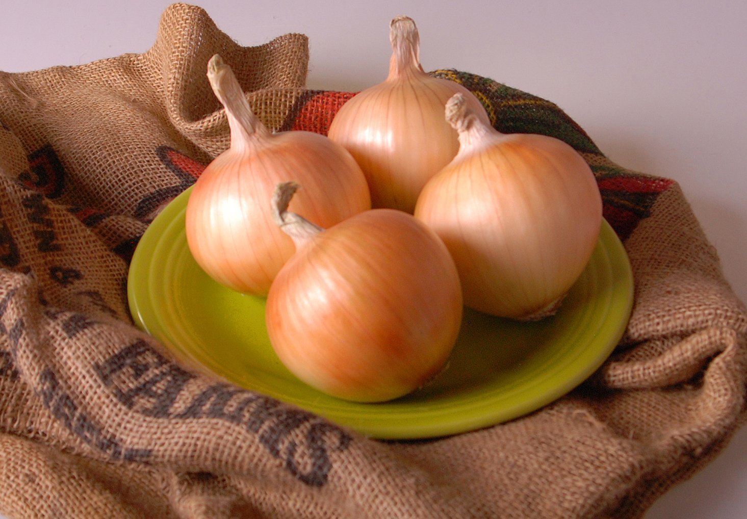 Amazon.com : Texas Grano 1015Y Onion Seeds,Spring,Summer or Fall,Short ...