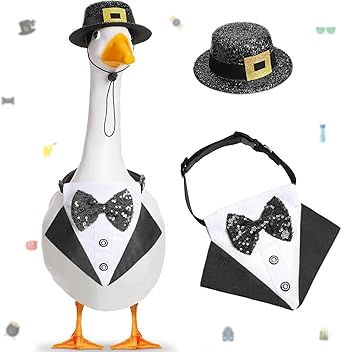 Amazon.com: NOVEMBER SPRING Summer Porch Goose Outfits for Plastic ...