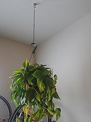 Amazon.com: Hangman Products Elephant Ceiling Hook, 1 Hanger, Nickel ...