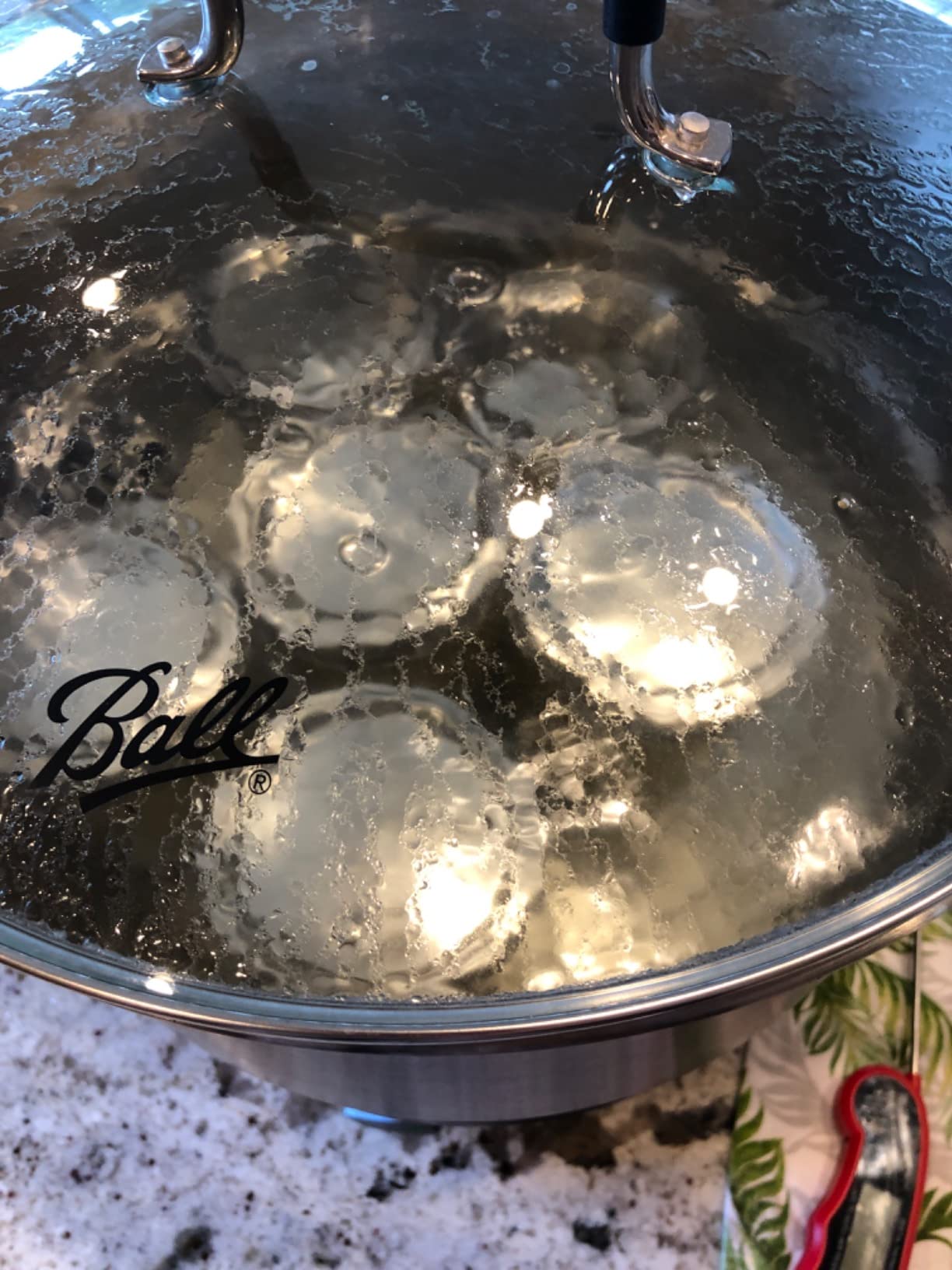 Amazon.com: Ball Electric Canner, Stainless Steel: Home & Kitchen