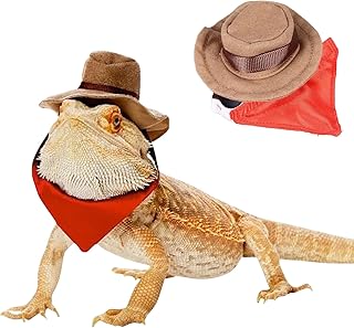 The Fascinating Adaptations Of The Iguana Neck Flap: A Closer Look ...