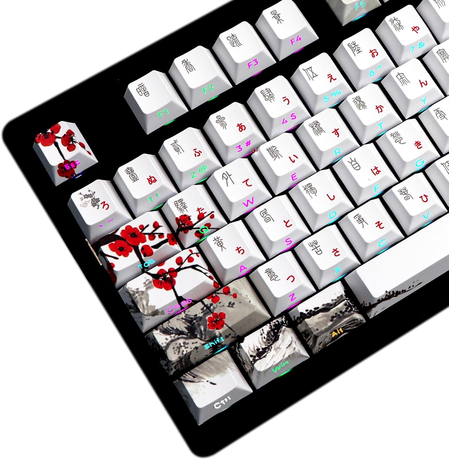 Amazon.com: MOLGRIA 135 Set Light-Go-Through Custom Keycaps, Double ...