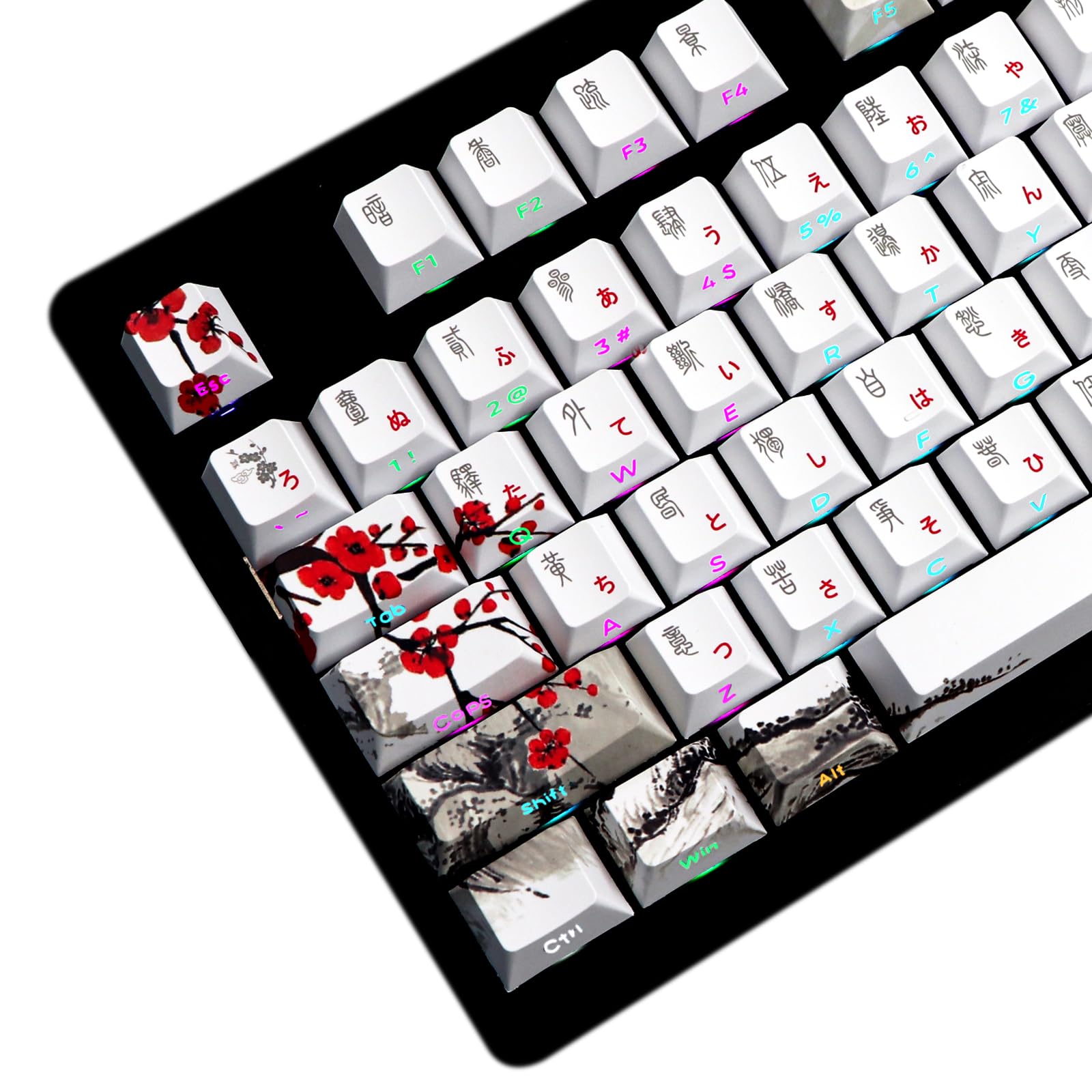 Amazon.com: MOLGRIA 135 Set Light-Go-Through Custom Keycaps, Double ...