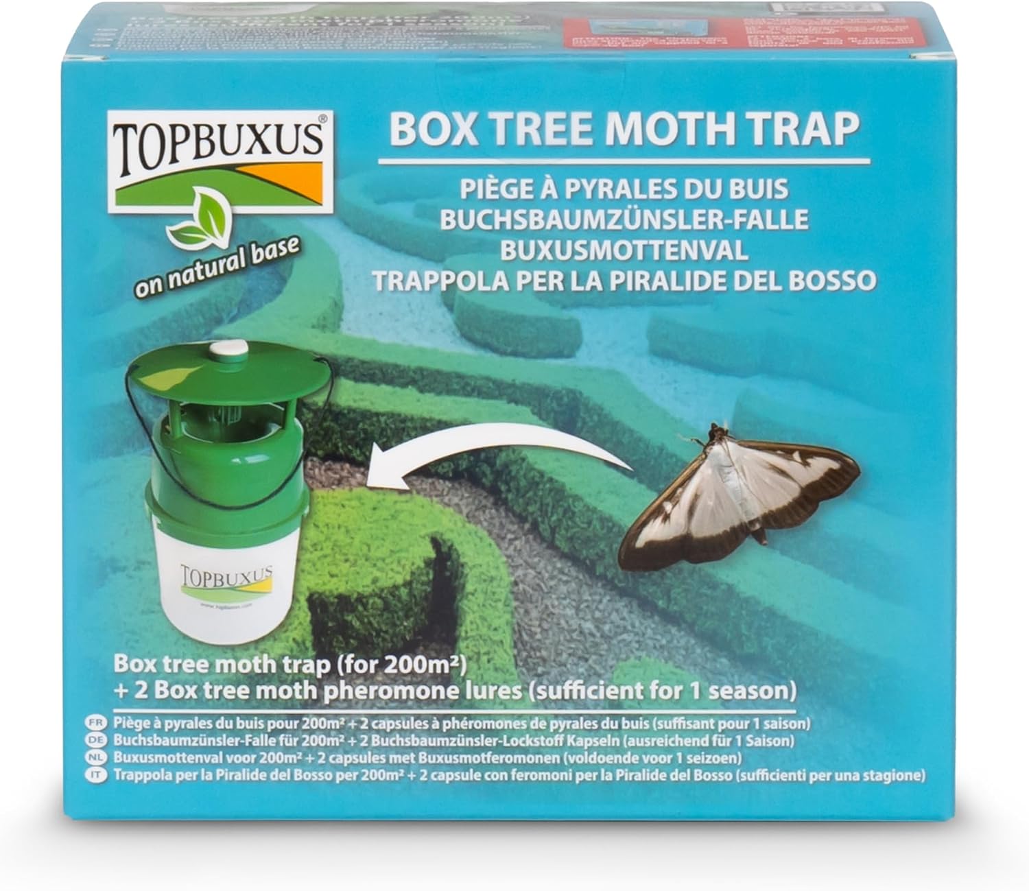 TOPBUXUS Box Tree Moth Trap - Including Pheromone Lures for 1 Season ...