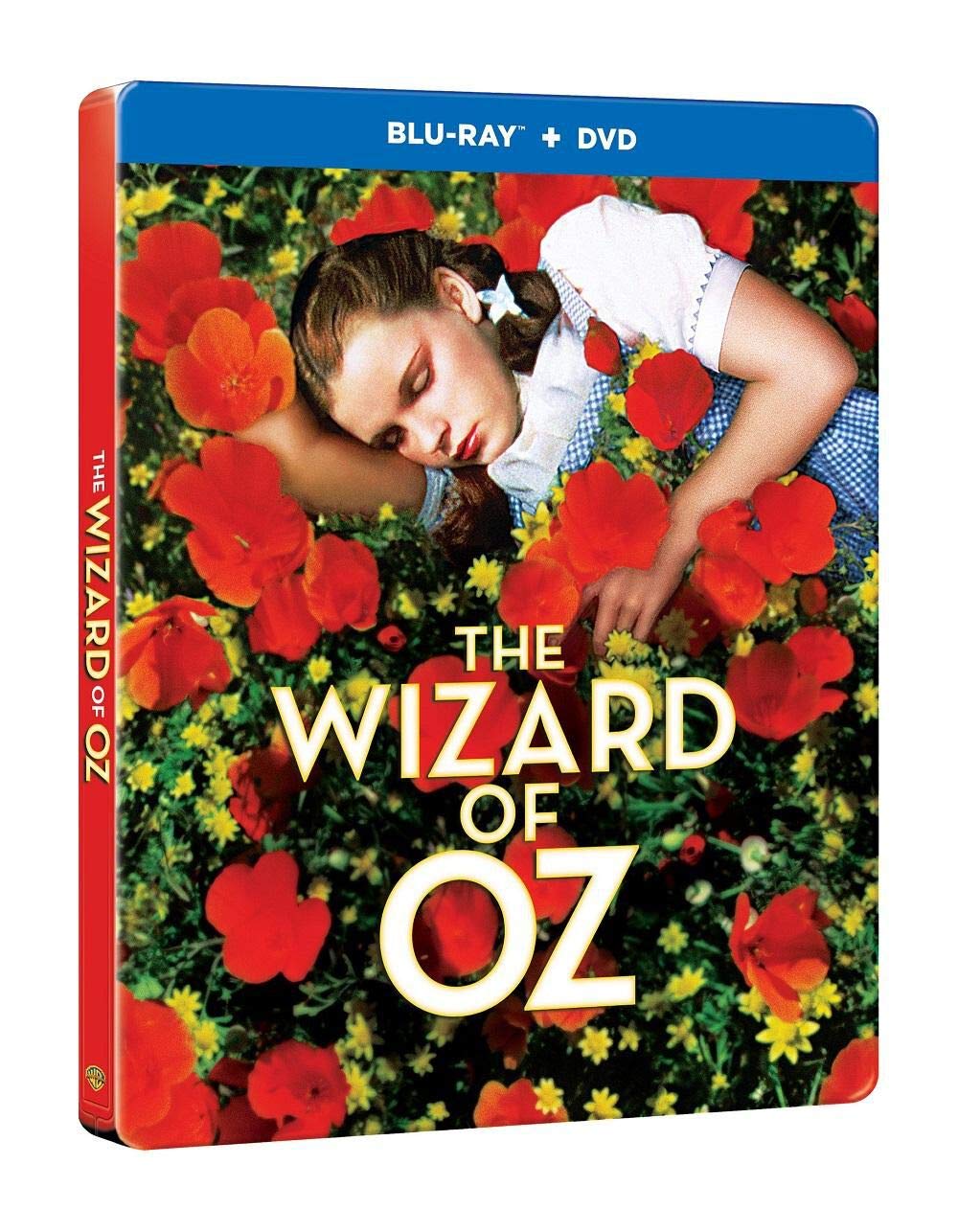 Amazon.com: Wizard Of Oz : Movies & TV