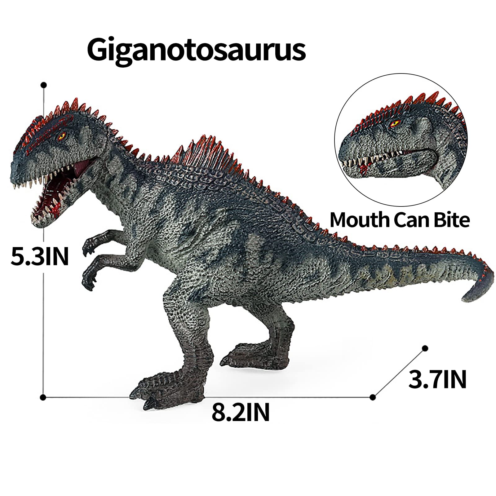 Giganotosaurus Size Comparison To T Rex