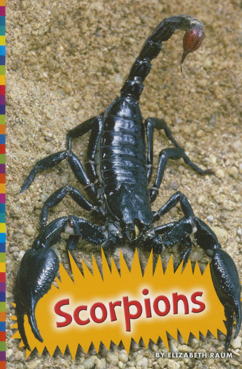 Scorpions (Poisonous Animals) : Raum, Elizabeth: Amazon.in: Books