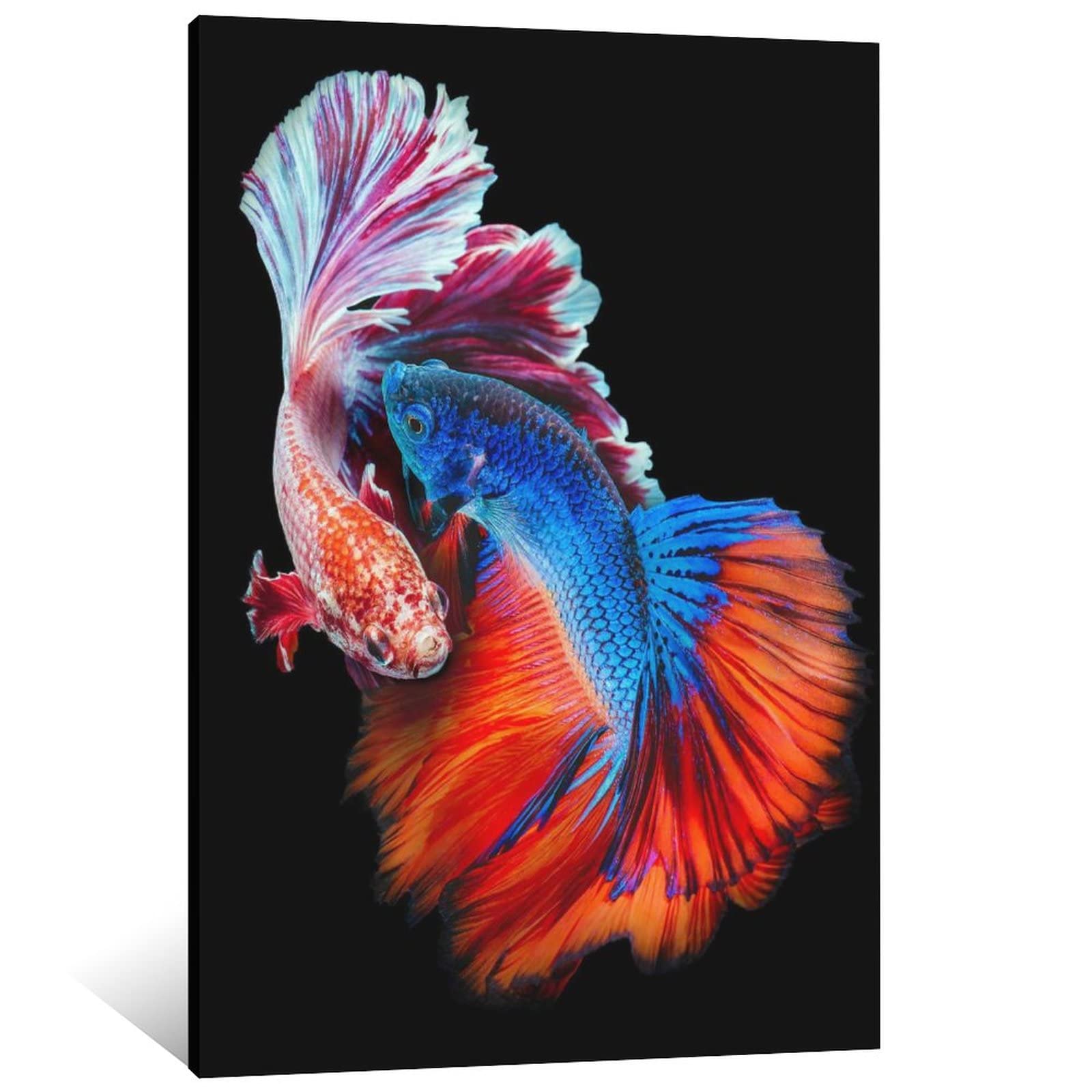 Colorful Fish Art