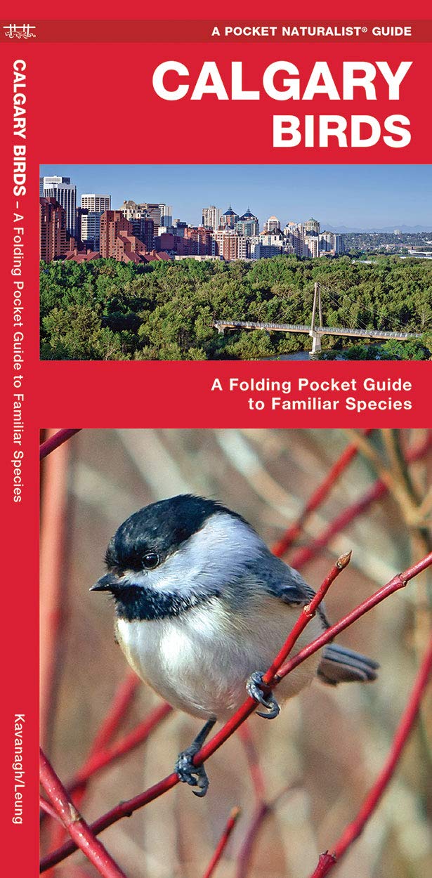 Calgary Birds: A Folding Pocket Guide to Familiar Species : Kavanagh ...