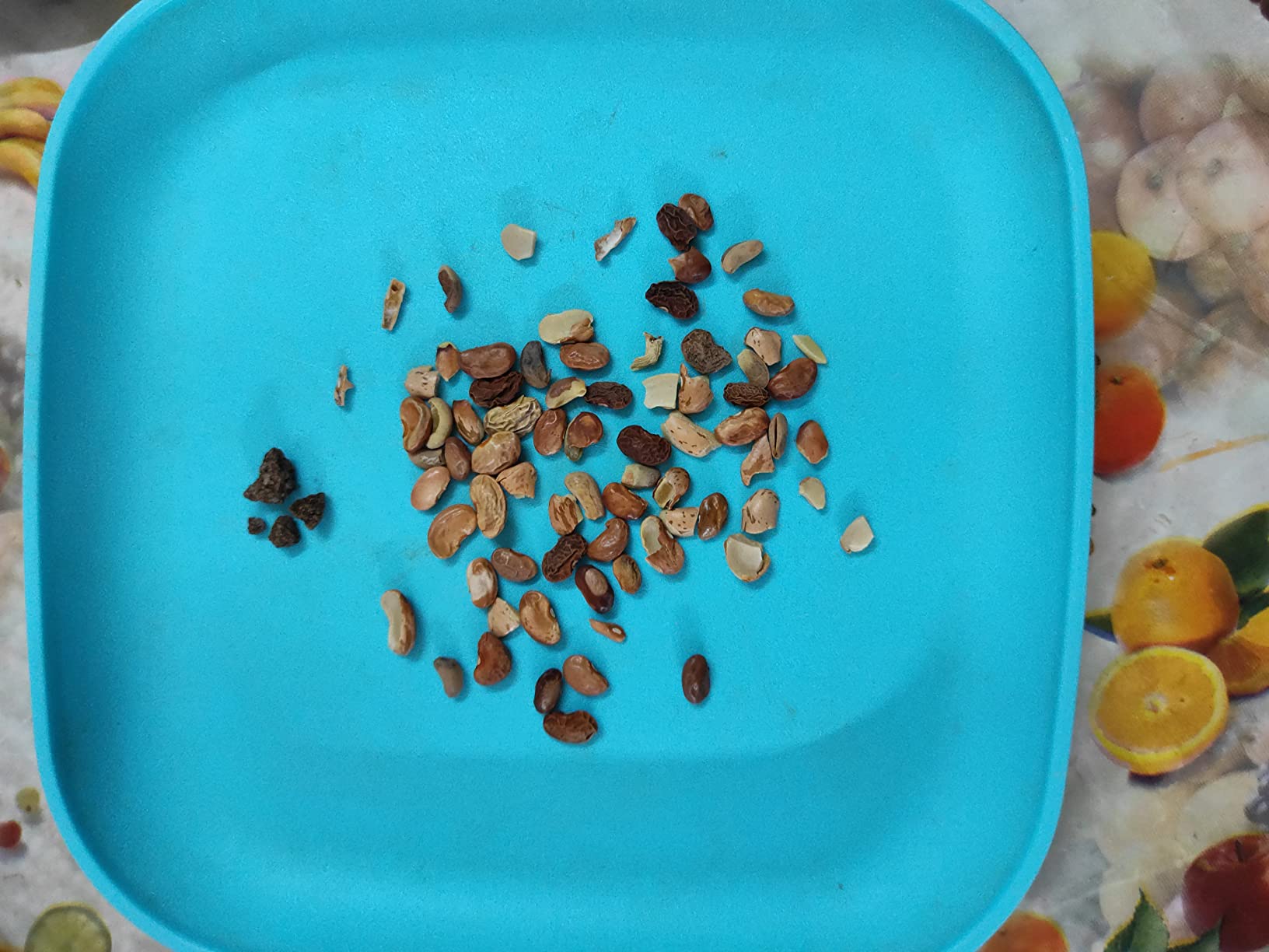 More White Loose Rajma Chitra (500gm) : Amazon.in: Grocery & Gourmet Foods