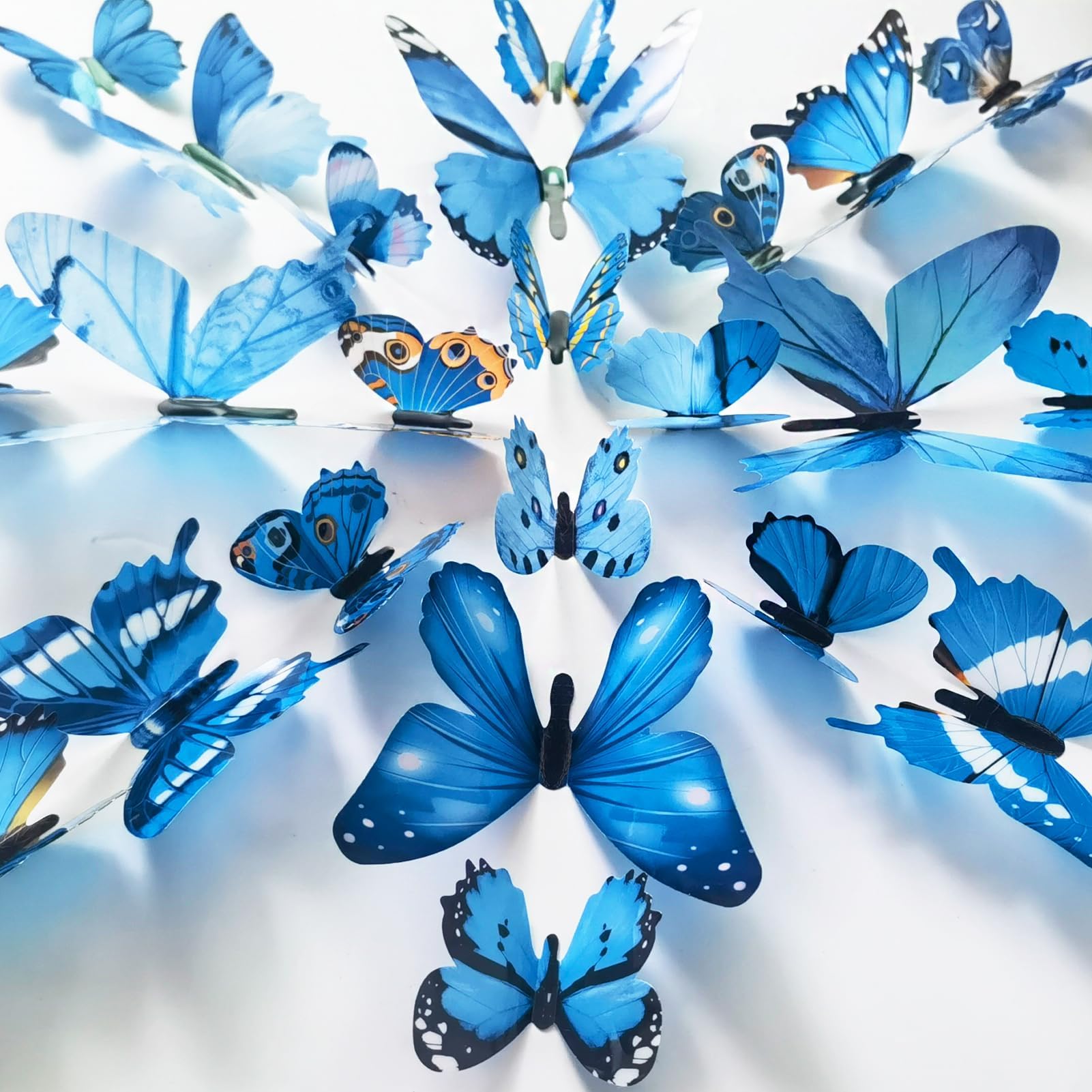 Amazon.com: Amaonm® 120pcs 10 Packages Removable 3D Butterfly Blue ...
