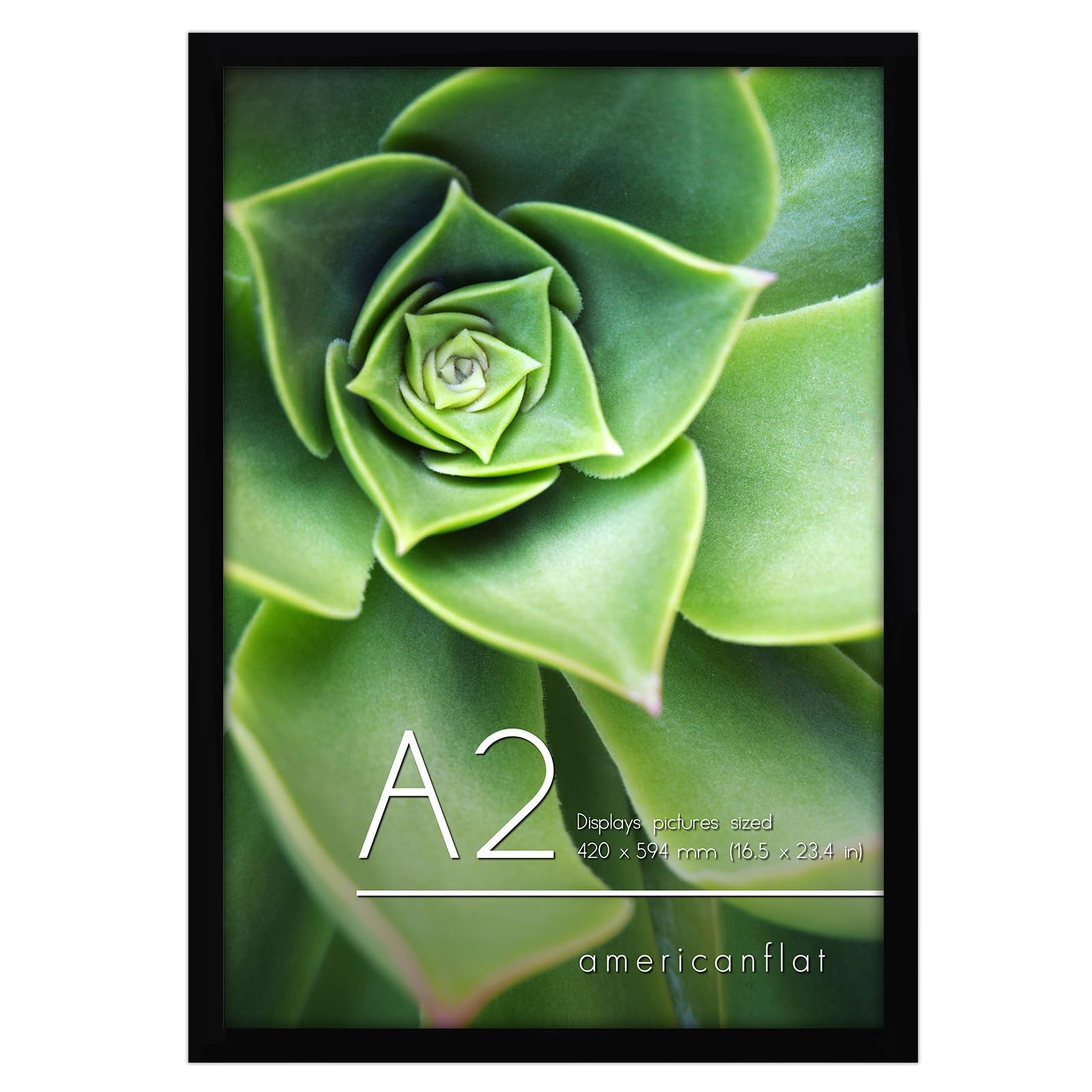 Americanflat A2 Picture Frame in Black - Engineered Wood with Polished ...