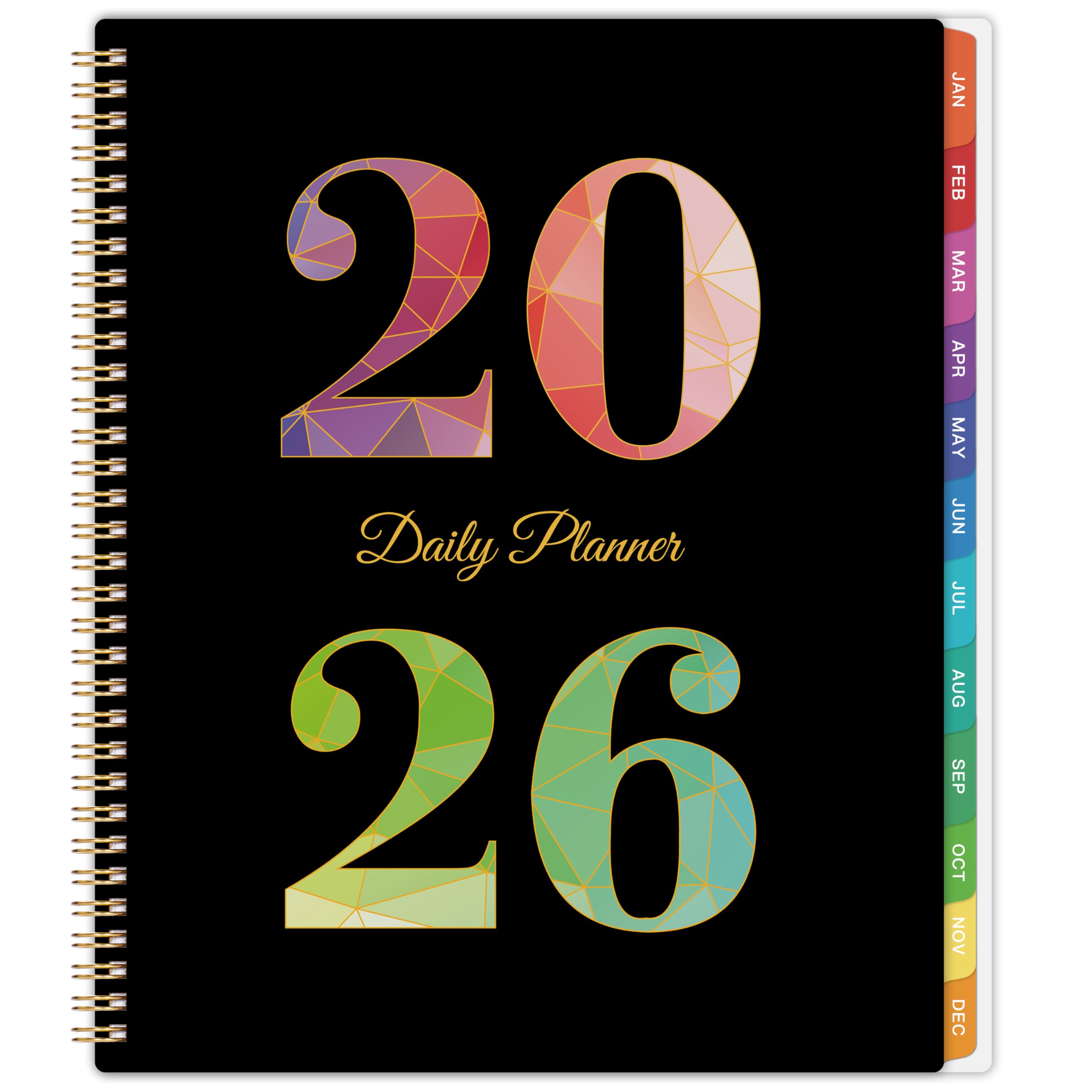 Snapklik.com : 2026 Daily Planner - Appointment Book 2026, 9 X 11 ...