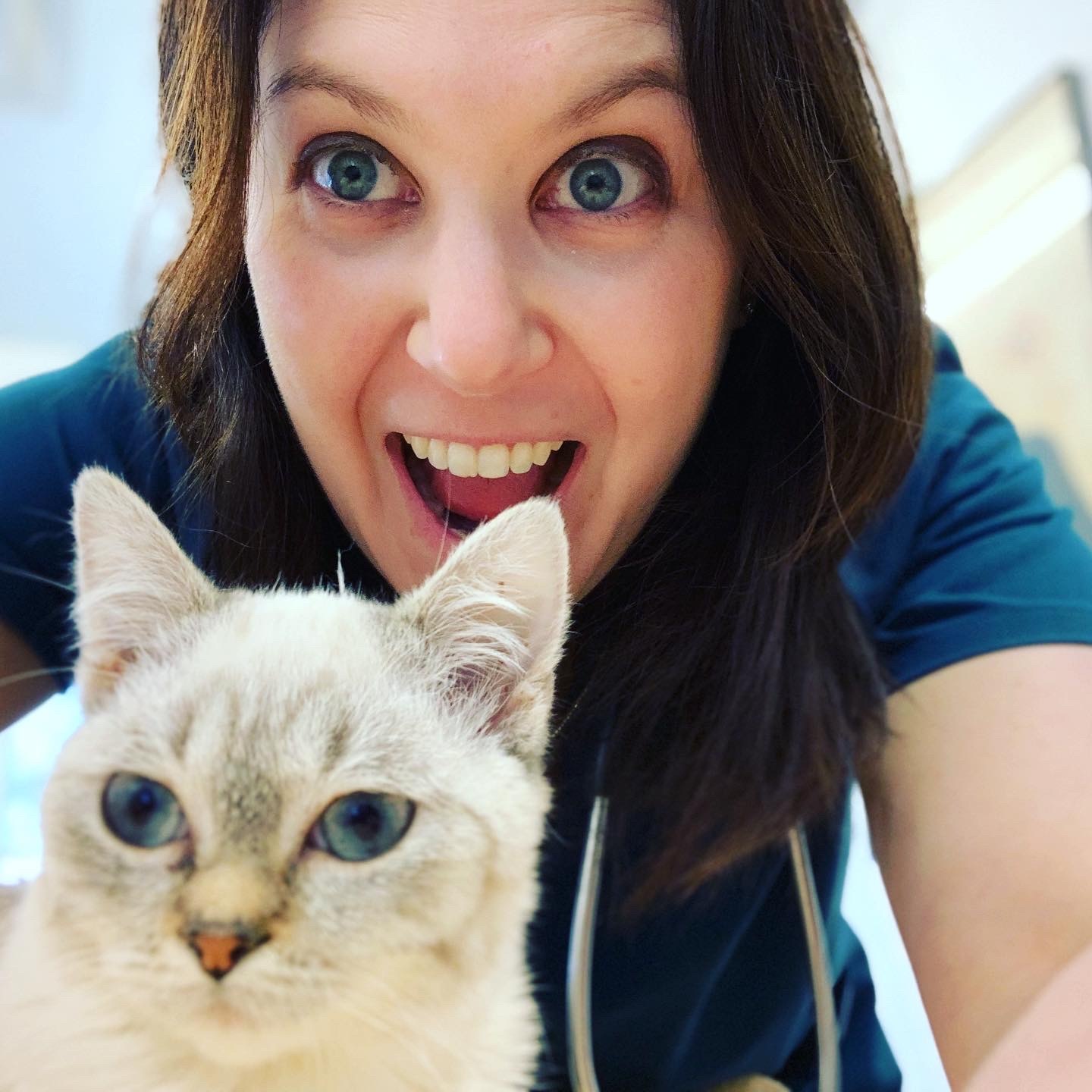 Amazon.com: Dr. Erica Barron: books, biography, latest update