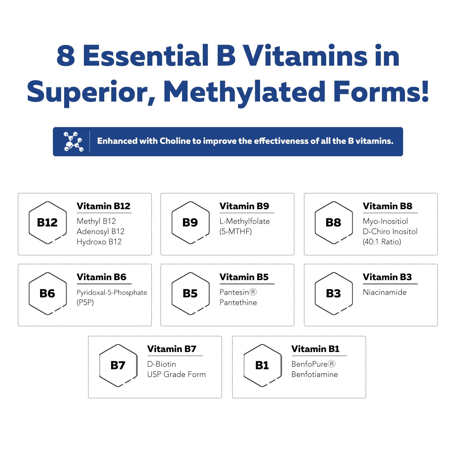 Snapklik.com : BioActive Vitamin B Complex - Blood Stream Ready ...