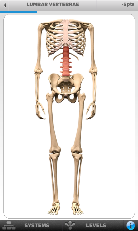 SKELETAL ANATOMY GAME:Amazon.co.uk:Appstore for Android