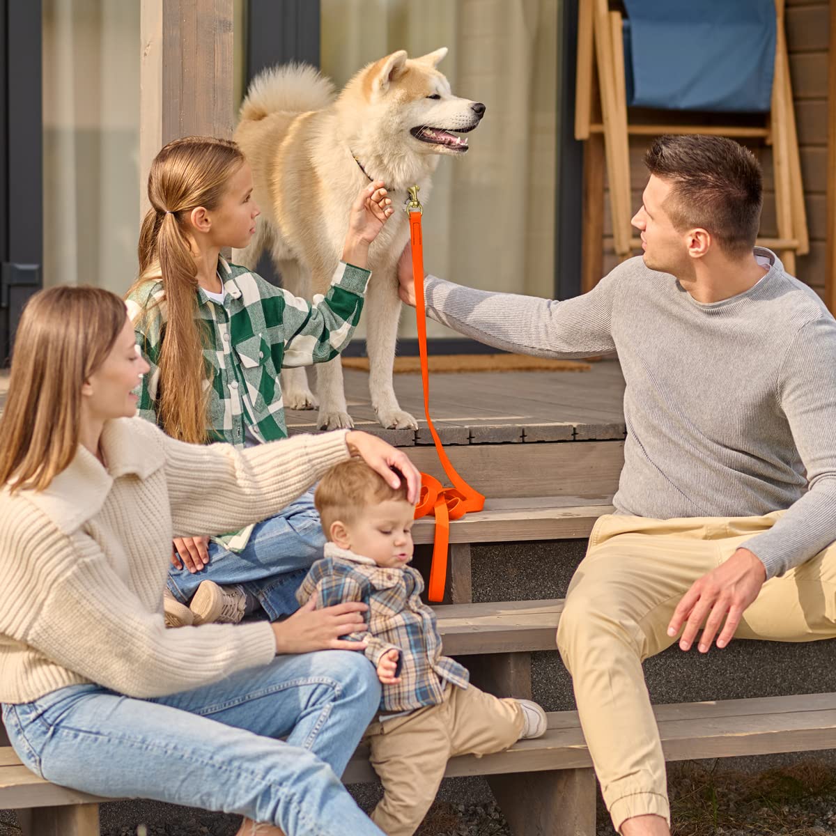 Snapklik.com : Viper Biothane Working Tracking Lead Leash Long Line For ...