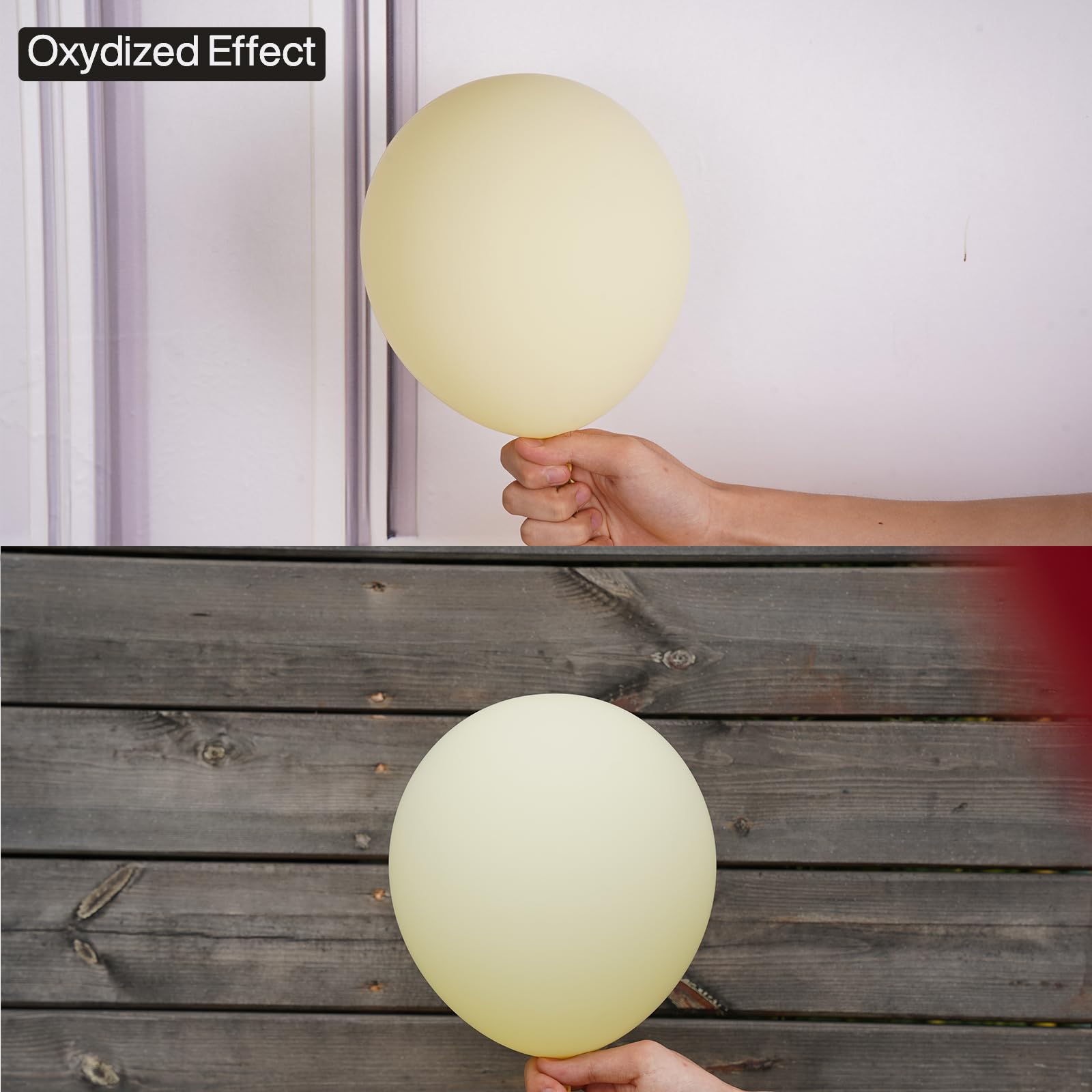 Snapklik.com : Pastel Yellow Balloons, 50 Pcs 5 Inch Pale Yellow ...