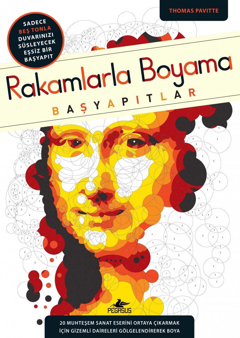 Amazon.com: Rakamlarla Boyama: 9786053437079: Thomas Pavitte: Books