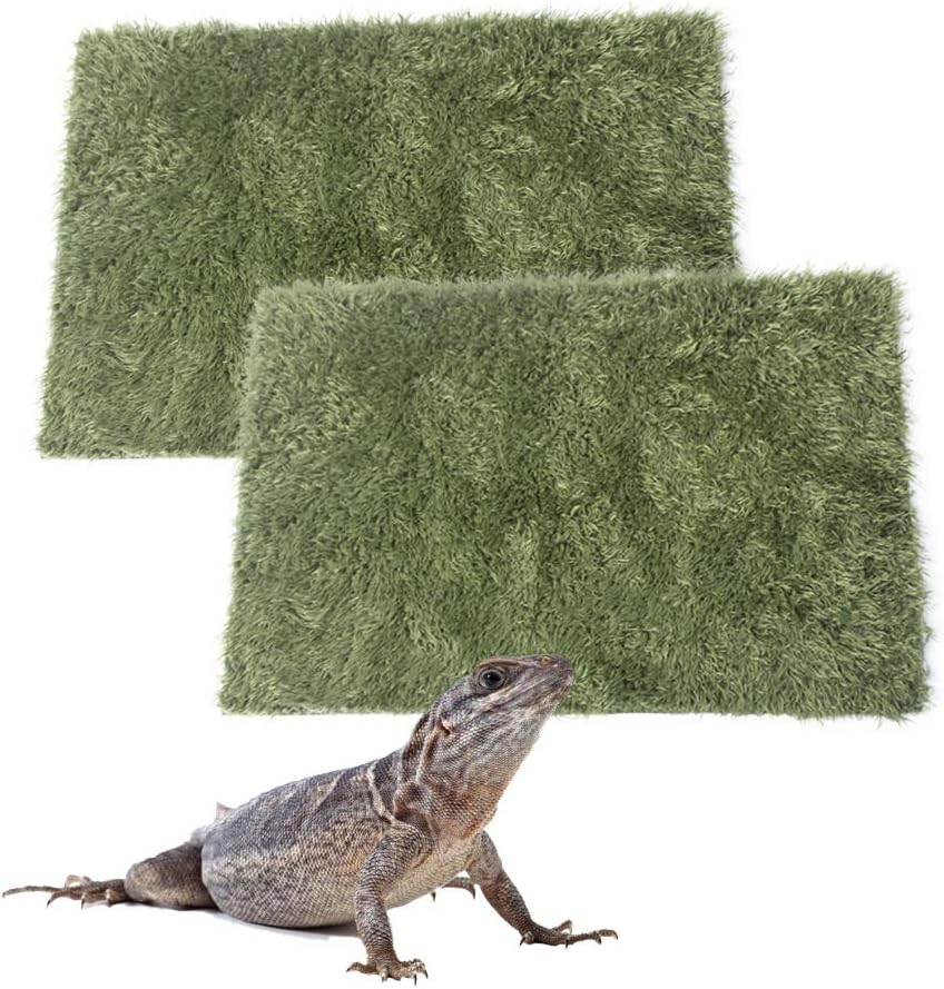 Amazon.com : Damooo 2 Pack Reptile Carpet Reptile Mat & Reversible ...
