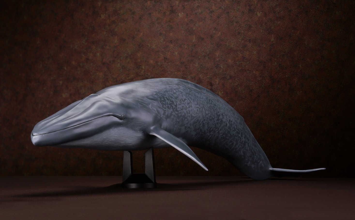 Buy Kaiyodo Blue Whale: MSA-004 Shironagasu Kujira PVC Figure Statue ...