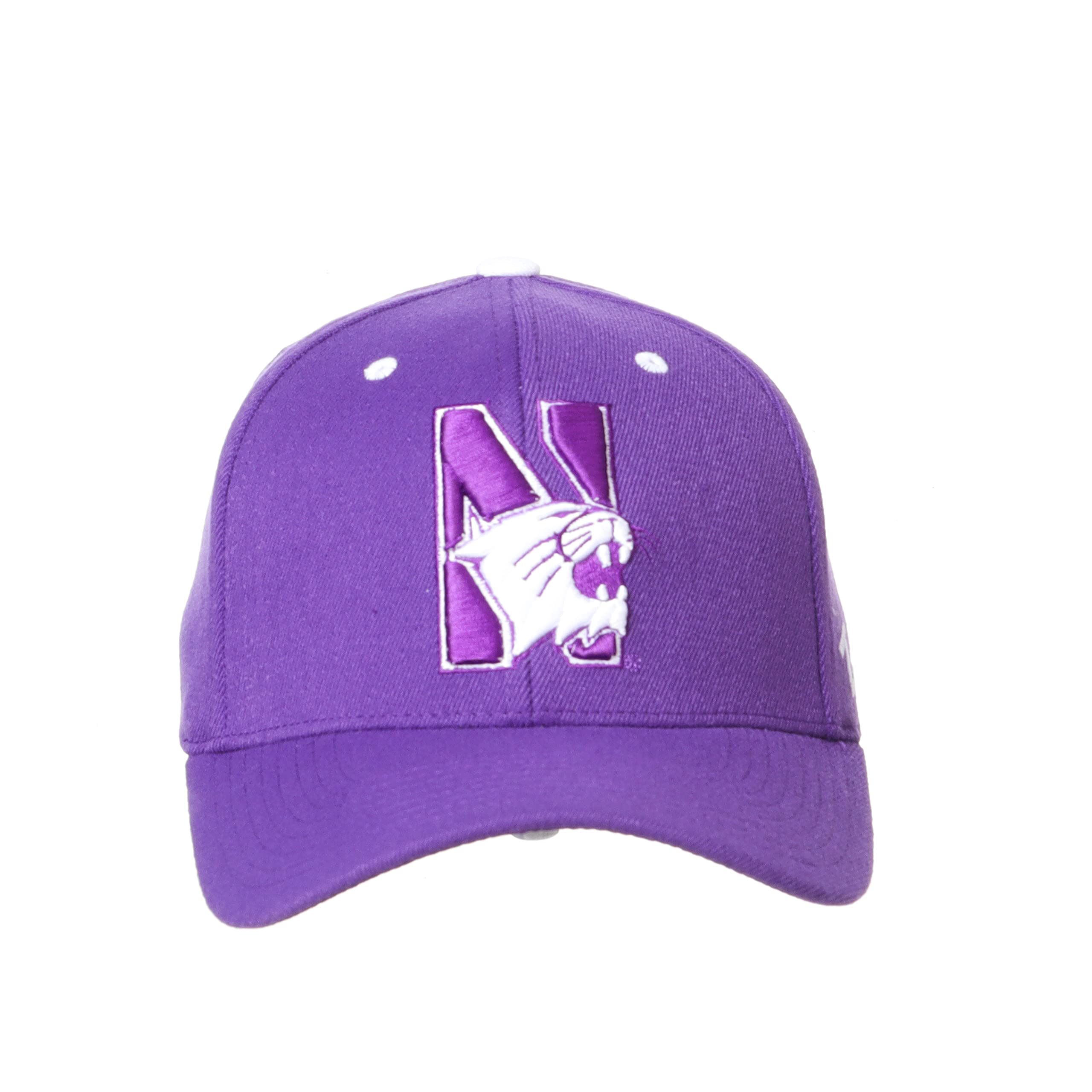 Snapklik.com : Northwestern Wildcats Stretch Fitted Hat Team Color