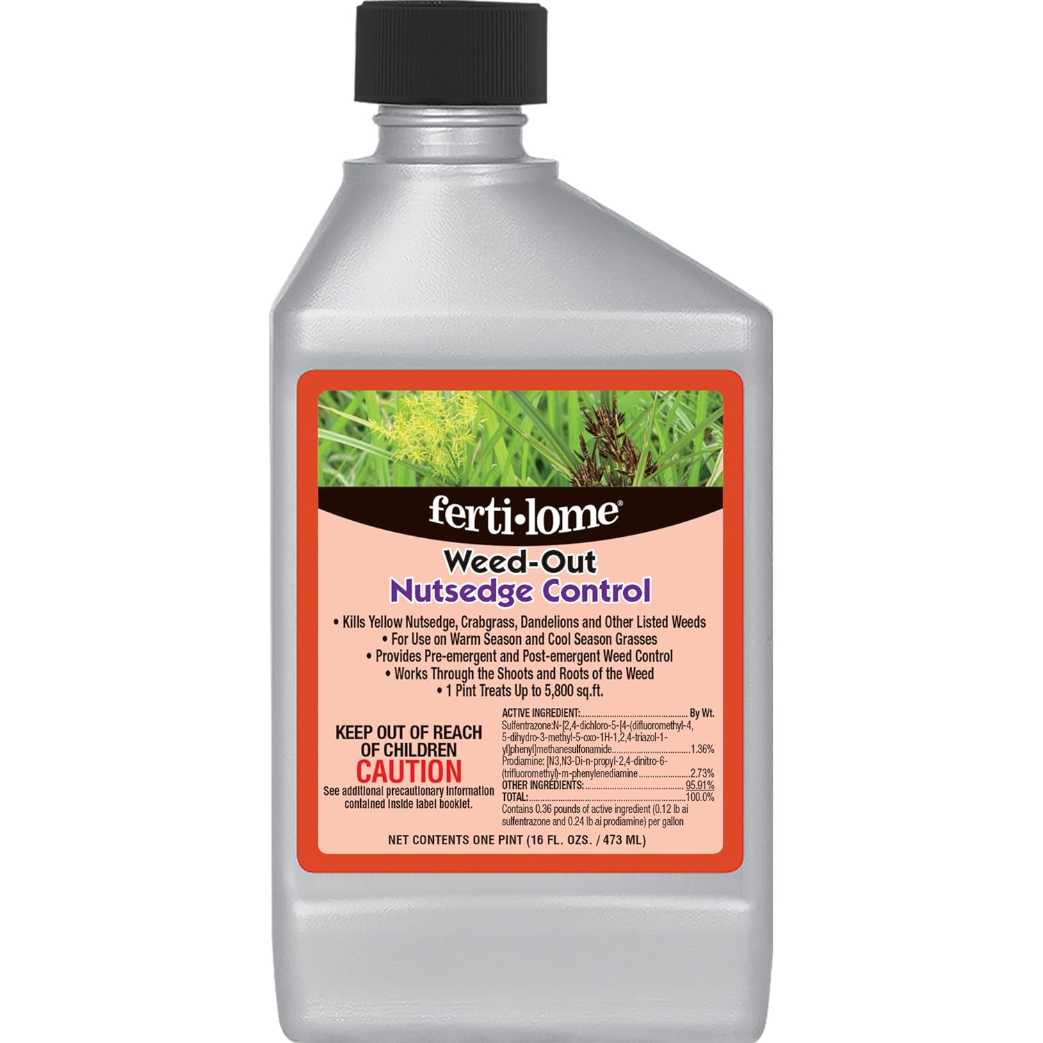 Amazon.com : Fertilome (11254) Weed-Out Nutsedge Control (16 oz ...