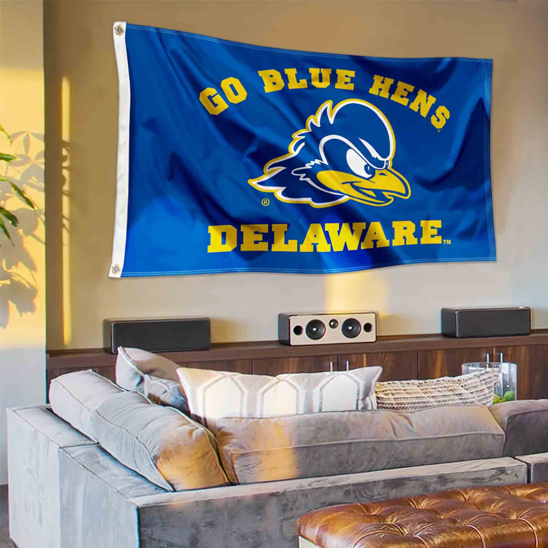 University Of Delaware Flag