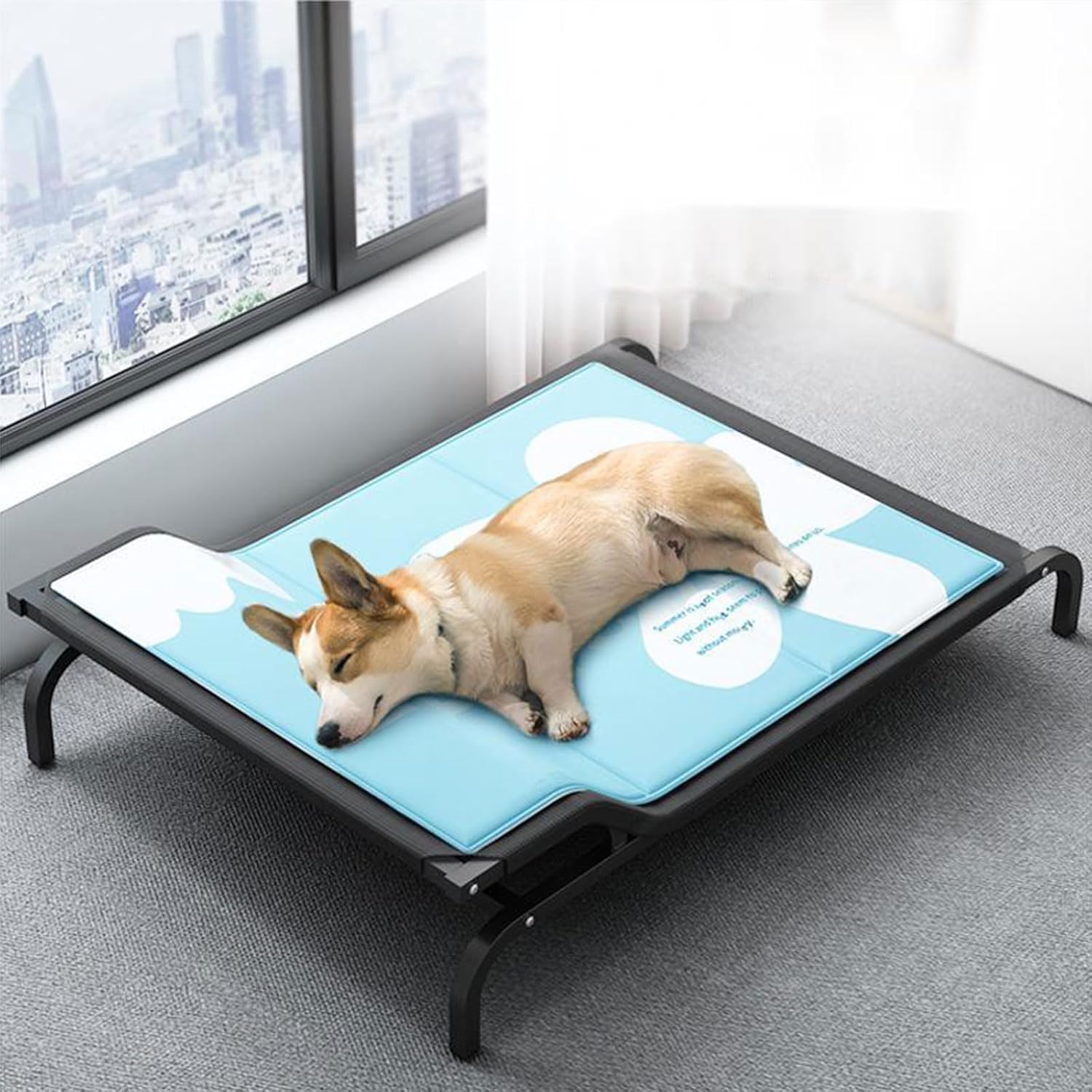 Saimly Elevated Dog Bed，Pet Bed with Slope Headrest for Indoor and ...