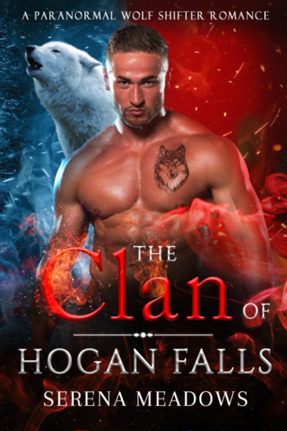 Amazon.com: The Clan of Hogan Falls: (A Paranormal Wolf Shifter Romance ...