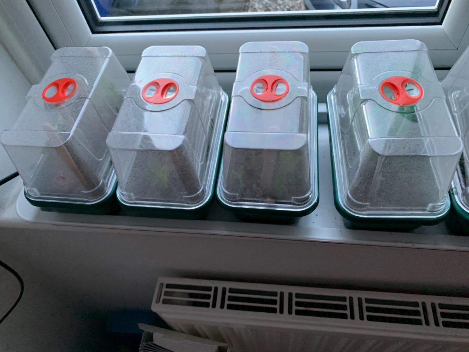 Britten & James Heated Windowsill Nursery 7 in 1 Propagator Set with ...