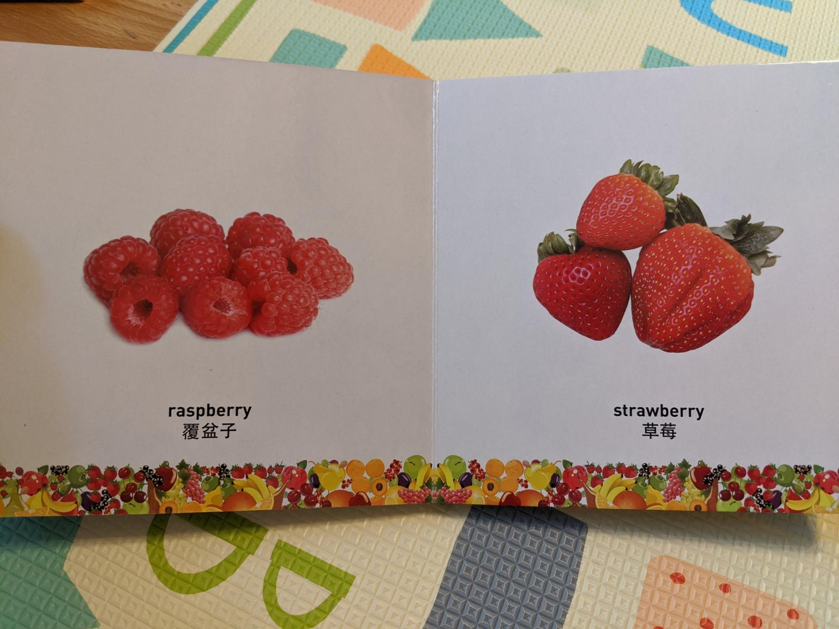 Amazon.com: My First Bilingual Book–Fruit (English–Korean ...