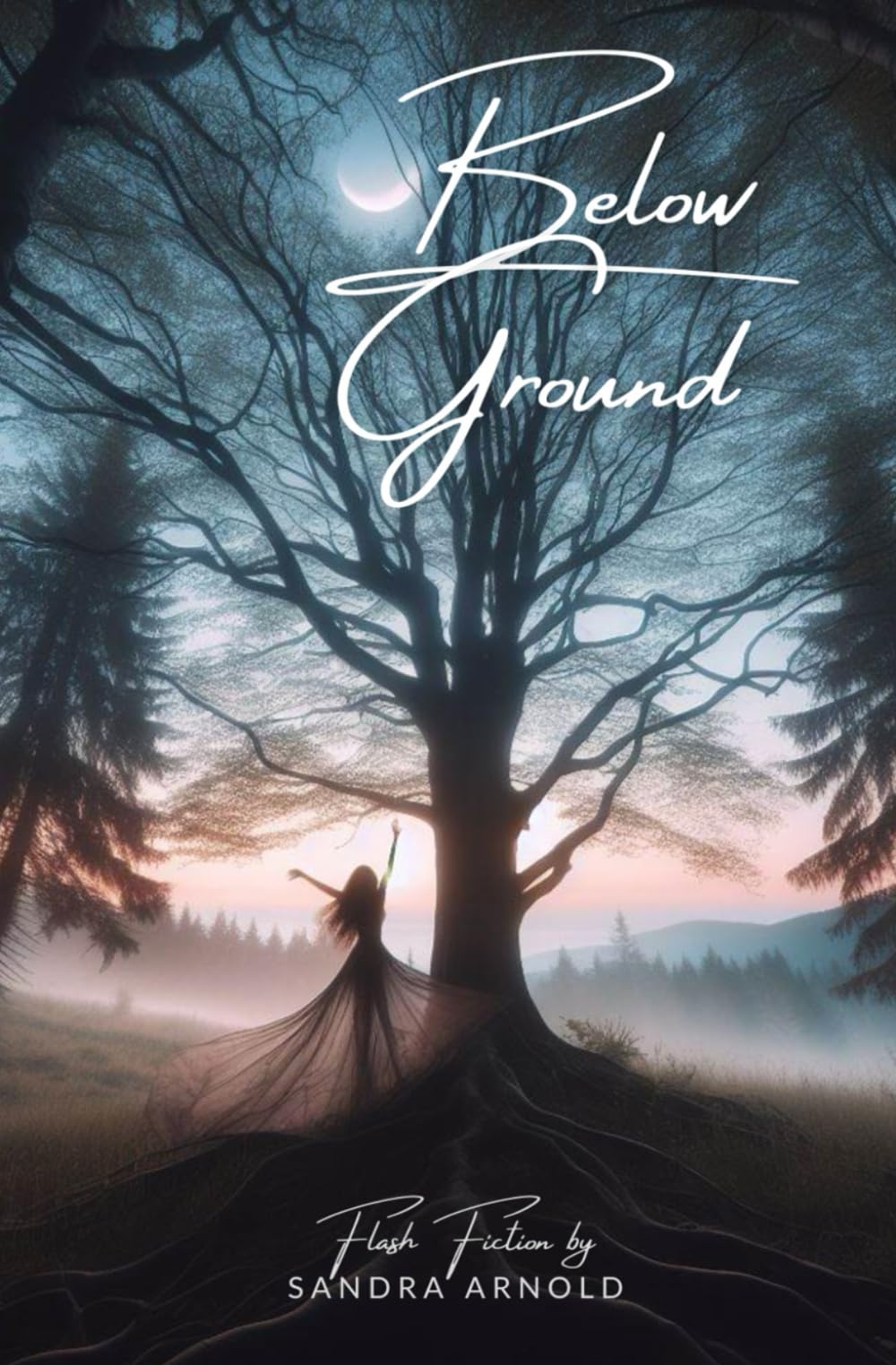 Amazon.com: Below Ground: 9781915819932: Arnold, Sandra: Books