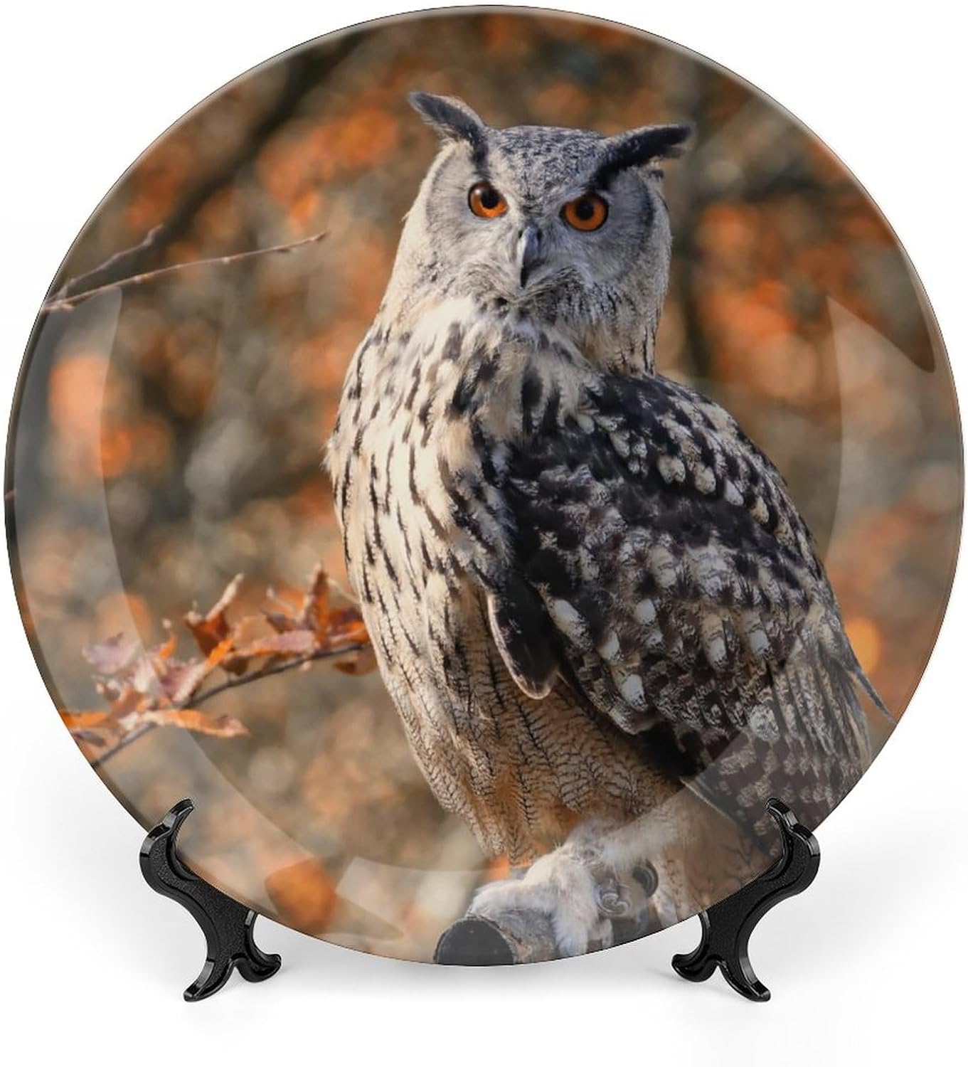 Amazon.com: Owl Decorative Plates for Display, Ceramic Dessert Plates ...