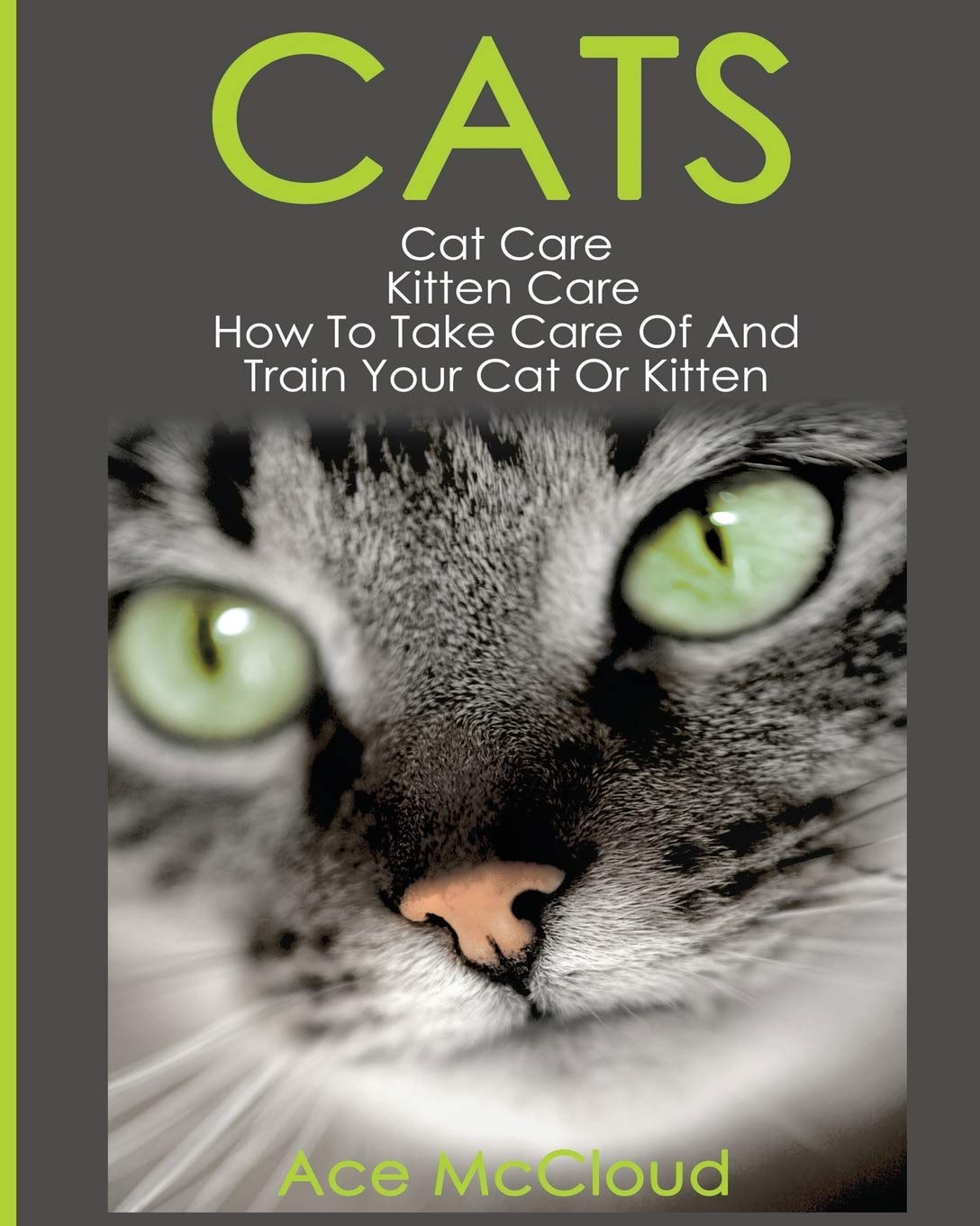 Cats: Cat Care: Kitten Care: How To Take Care Of And Train Your Cat Or ...
