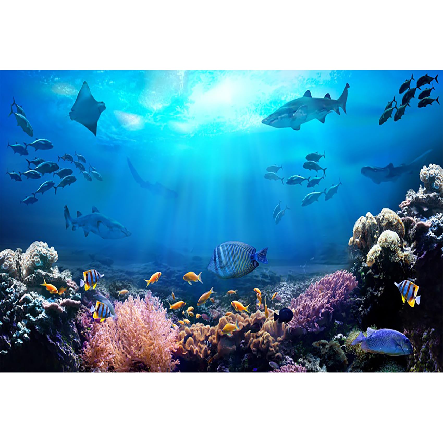 Amazon.com : AOFOTO 5x3ft Underwater Scene Backdrop for Photography ...