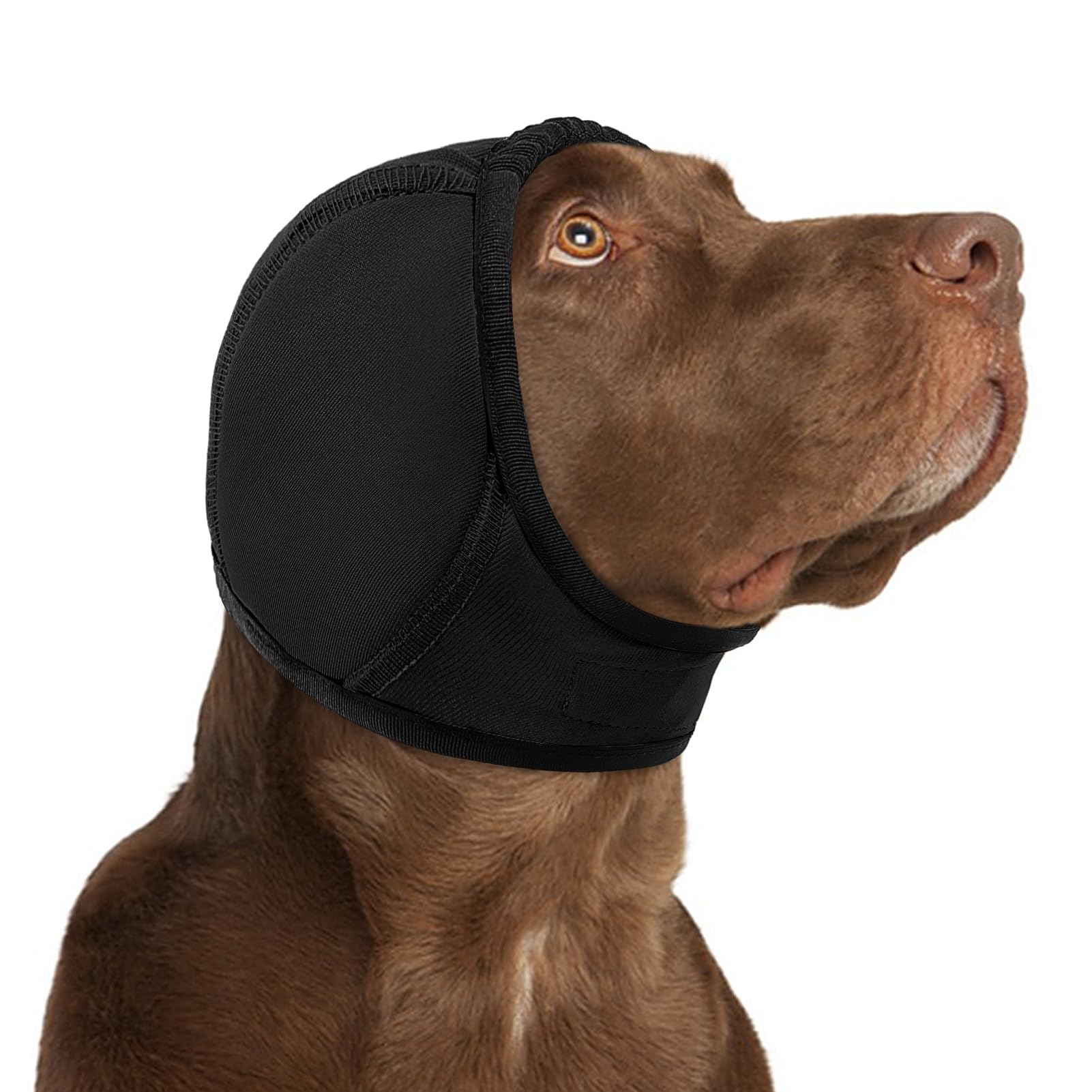 5 Best Ear Protection For Dogs | Stop the Shaking & Fear