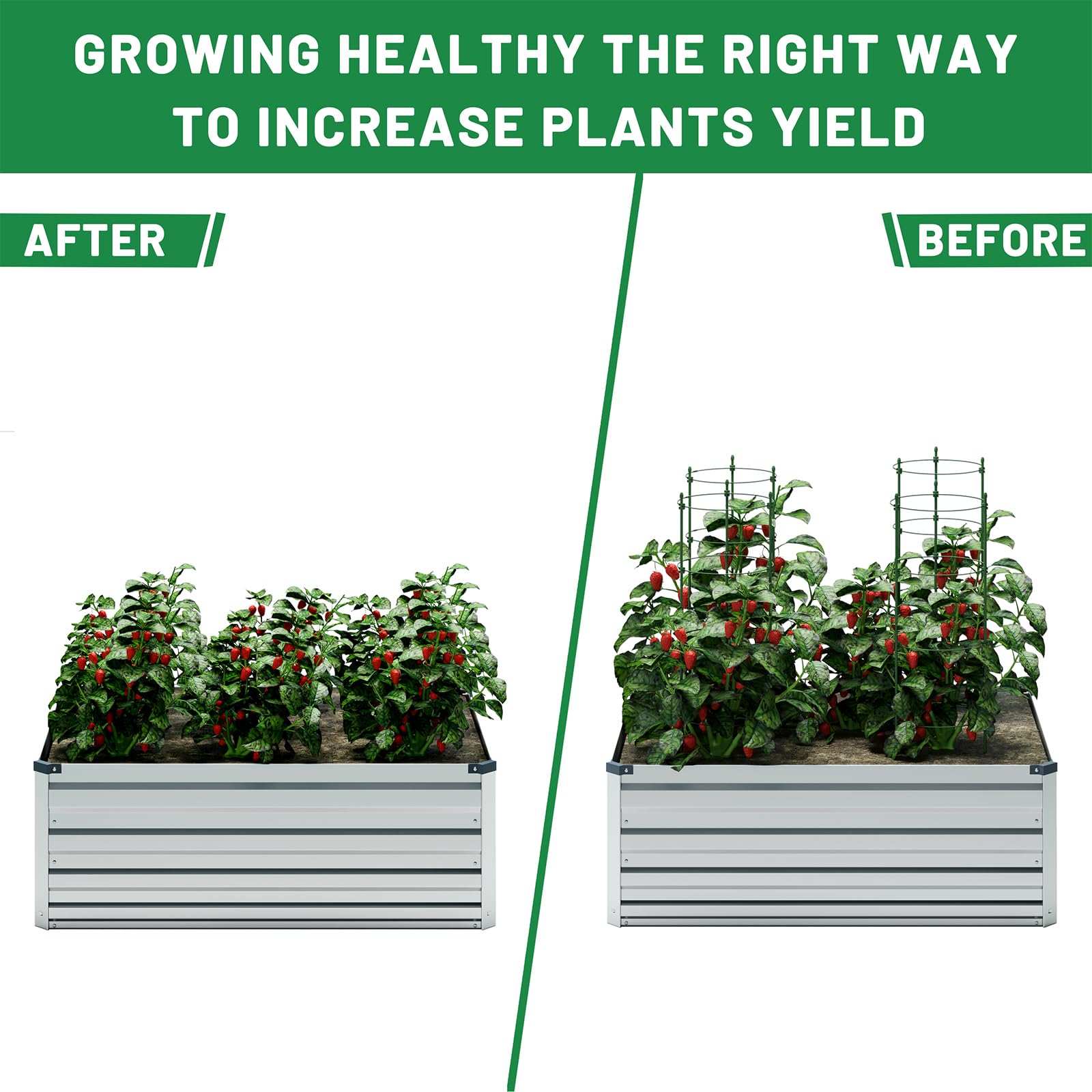 Snapklik.com : Meberam Adjustable Tomato Cage For Garden Large 47 ...