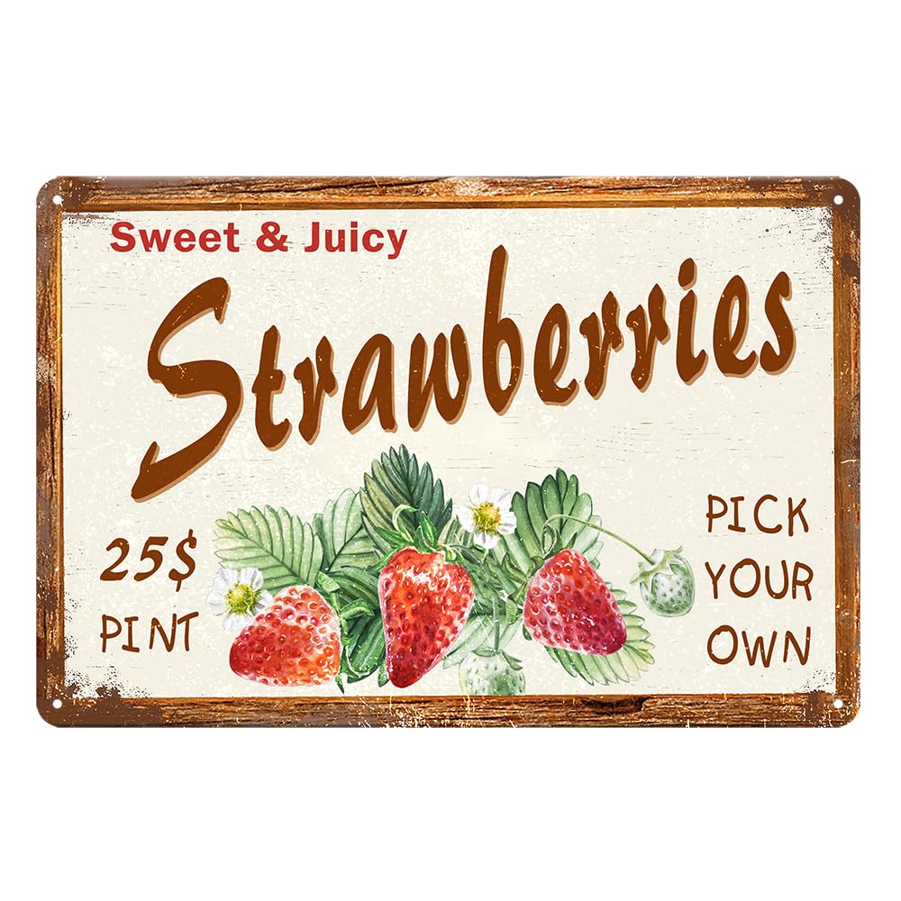 Amazon.com: Strawberry Room Decor Vintage Strawberry Shortcake Kitchen ...