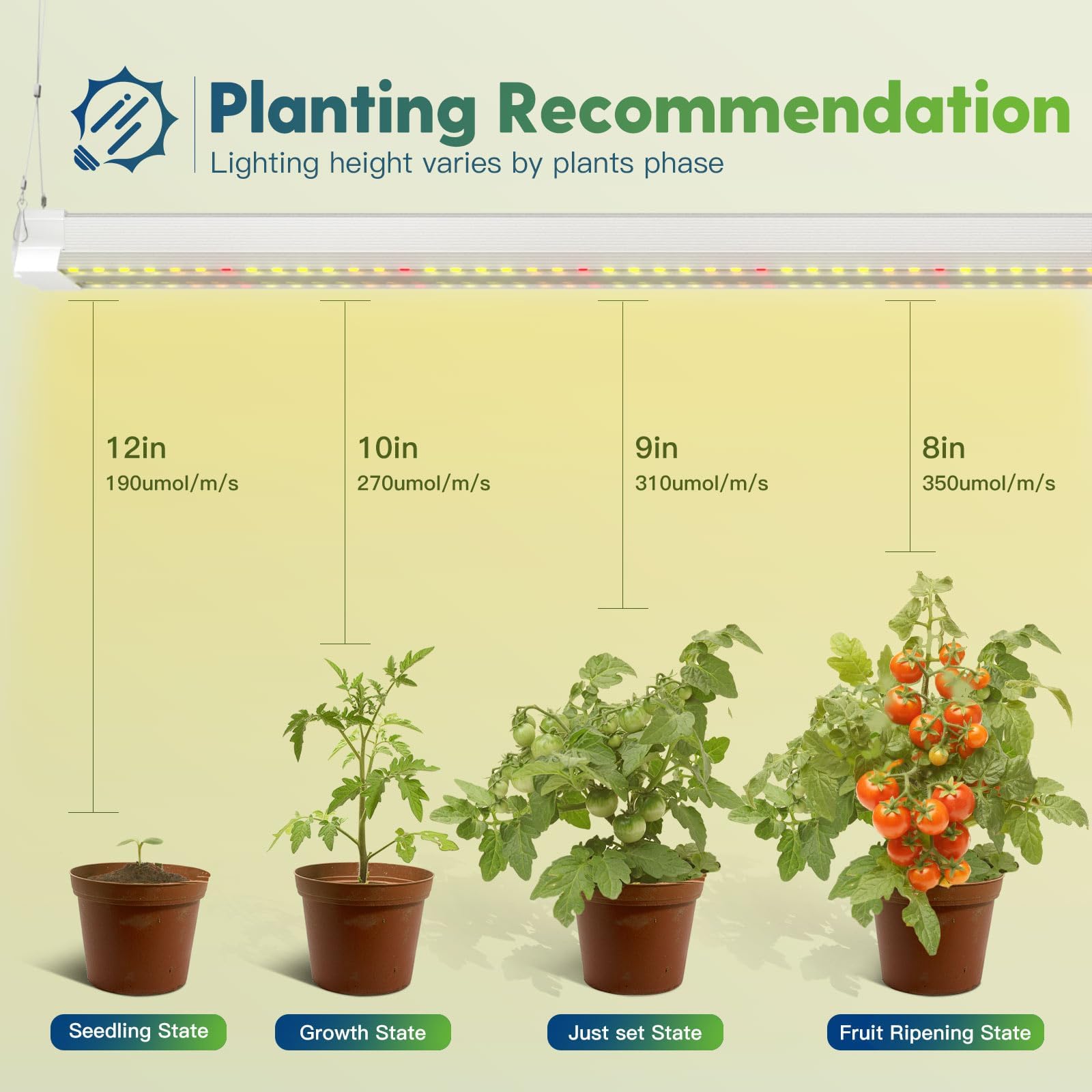 Snapklik.com : FREELICHT 4 Pack 4FT LED Grow Lights, 160W (4 X 40W ...