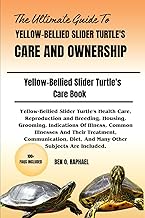 Breeding Pet Turtles: A Step-By-Step Guide For Beginners | PetShun