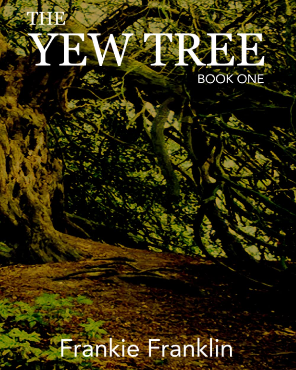 The Yew Tree: Book 1 (The Yew Tree Books): Amazon.co.uk: Franklin ...