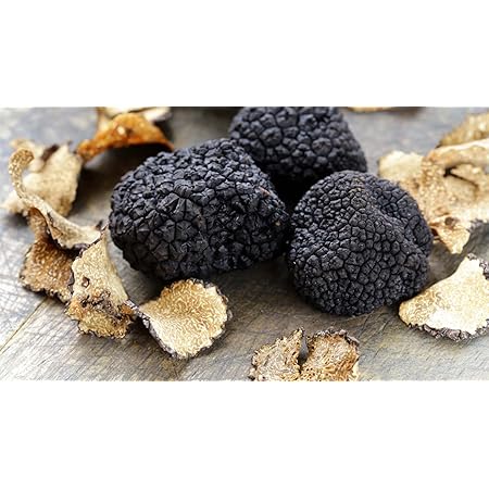 Amazon.com : CEMEHA SEEDS - Black Truffle Mushrooms Non GMO for ...