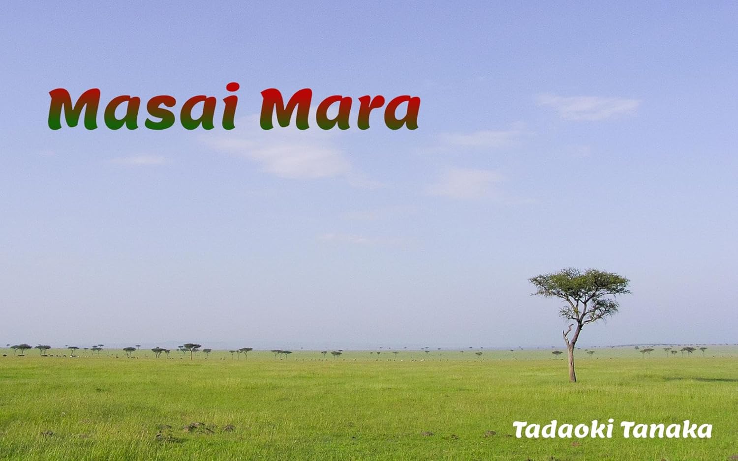 Amazon | Masai Mara (English Edition) [Kindle edition] by Tanaka ...