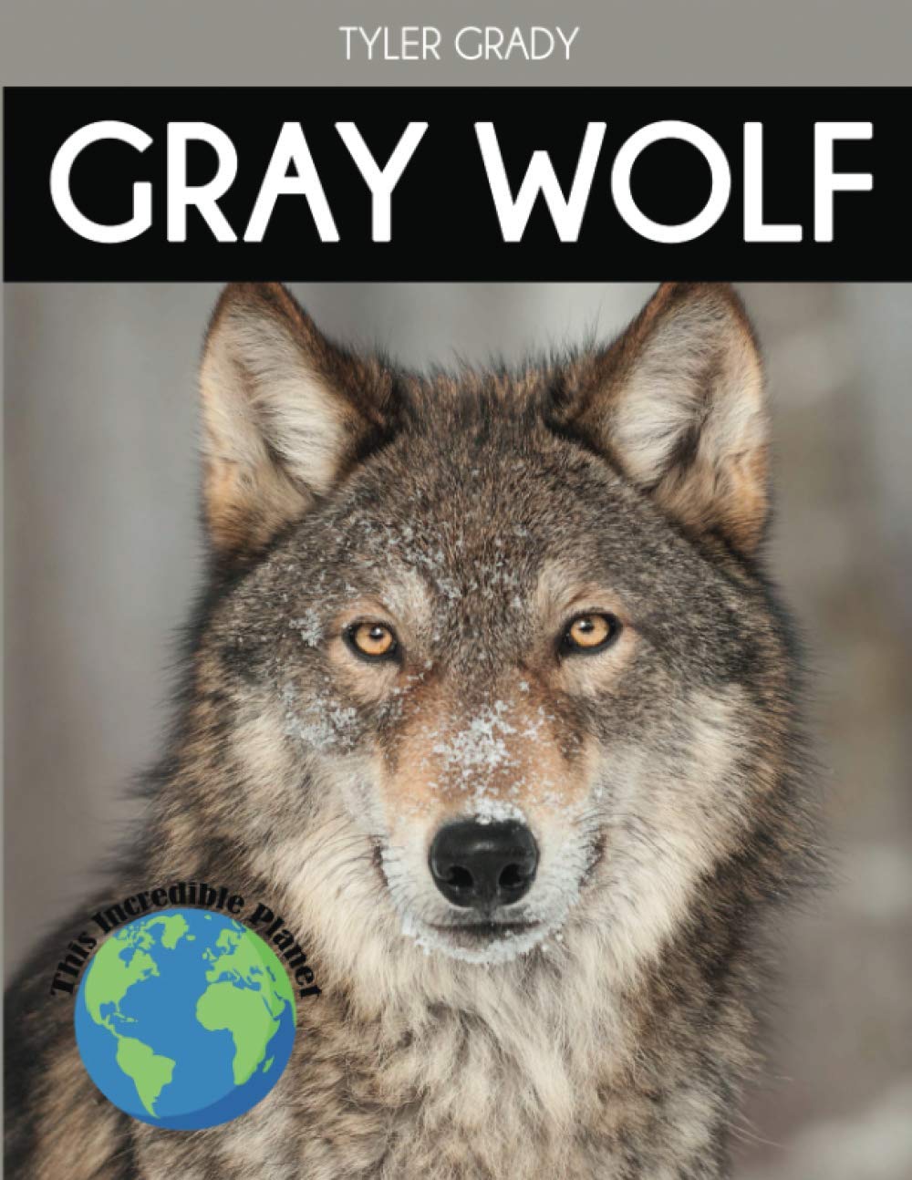 Gray Wolf: Fascinating Animal Facts for Kids (This Incredible Planet ...