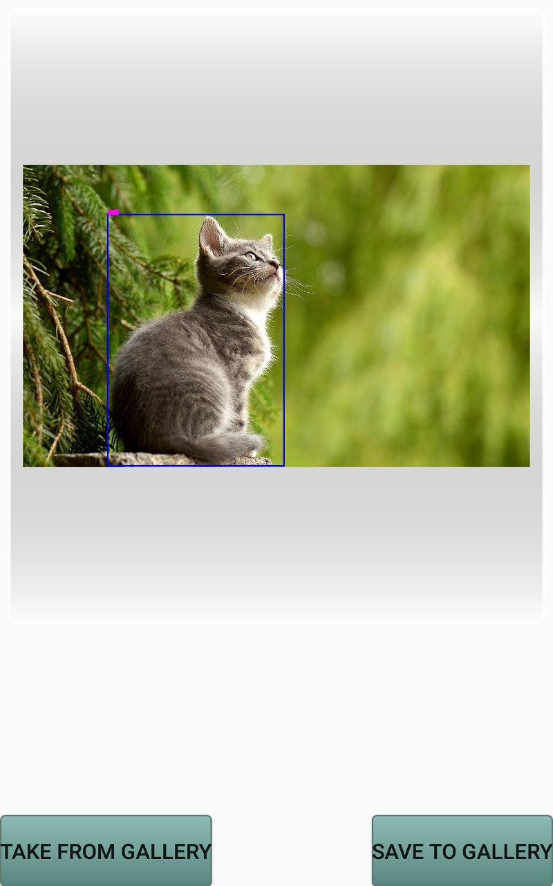 Auto Photo Cropper - App on Amazon Appstore